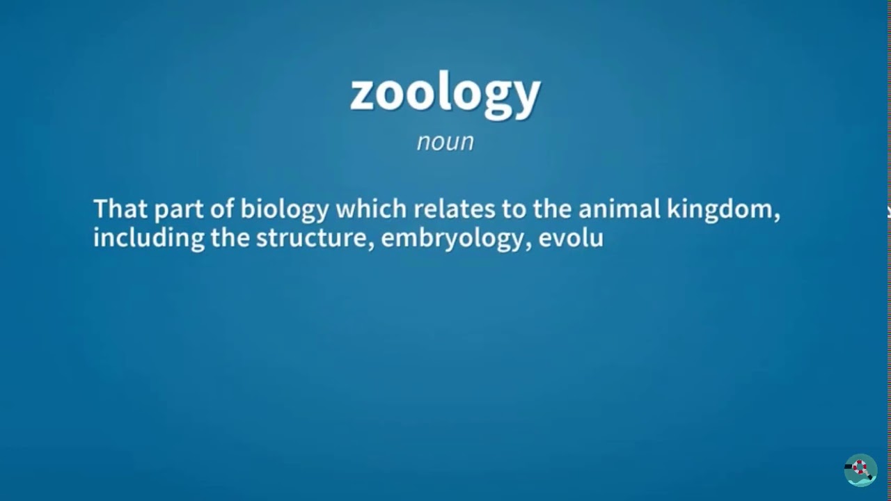 Zoology Definition YouTube zoology-definition-youtube