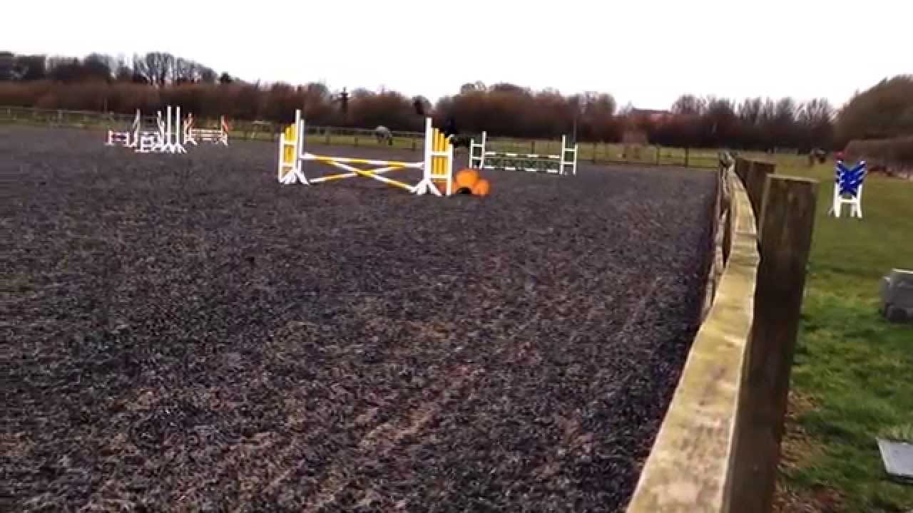 Donna Hedger on Oscar - Elms Farm Equestrian Centre 08.03.2015 - YouTube