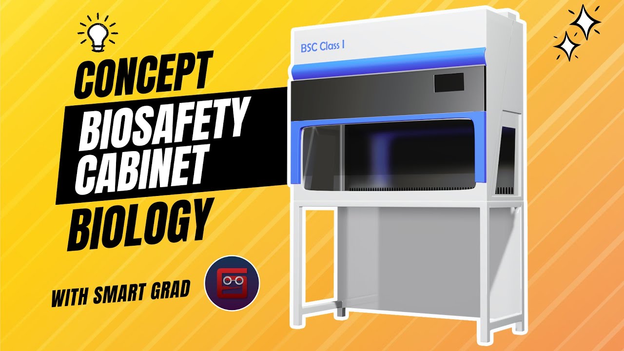 Biosafety Cabinets: Ensuring Safety and Containment | Animated ...