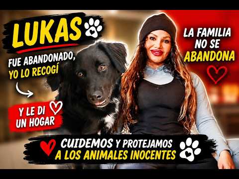 LO ABANDONARON....PERO AHORA TIENE UN HOGAR
