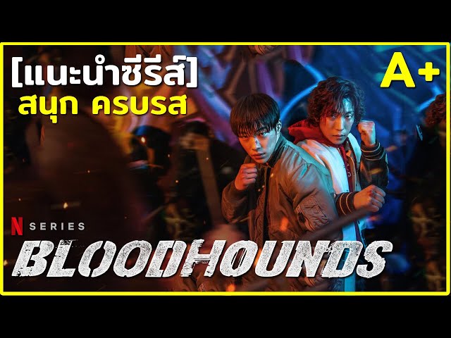 แนะนำซีรีส์ | Bloodhounds | น่าจะเป็นซีรีส์ที่ต่อยได้มันส์สุดแล้ว