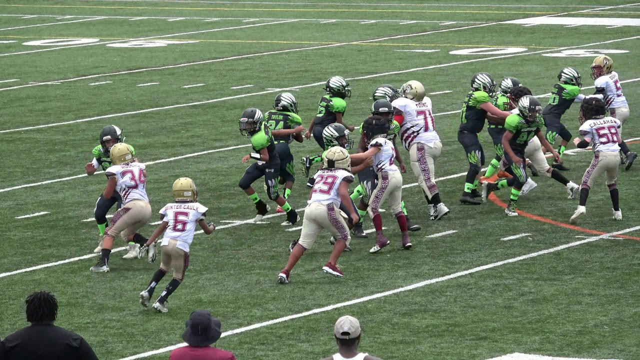 Cecil Wolfpack 9U vs Delaware - YouTube