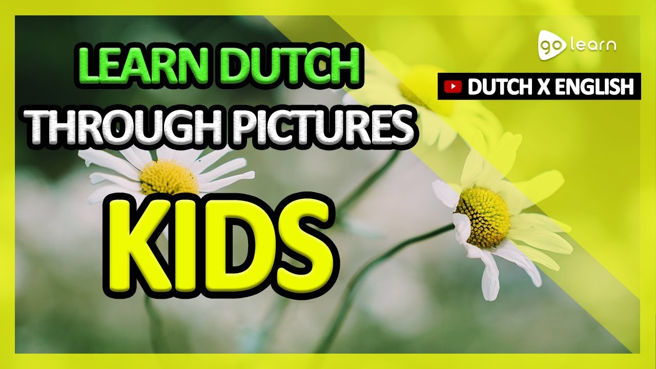 Learn Dutch Through Pictures |Dutch Vocabulary Kids | Golearn - YouTube