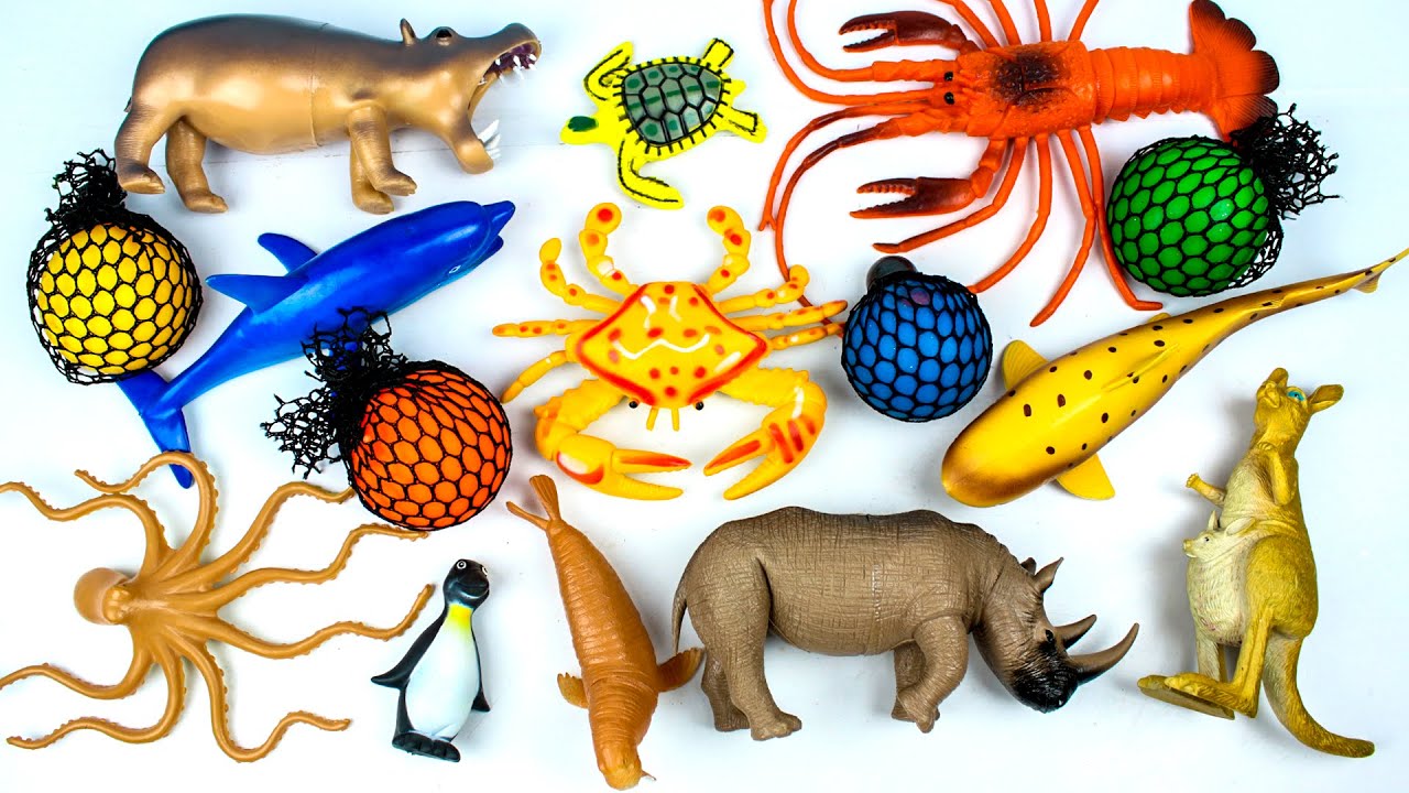 Babies Toddlers Learn Sea, Herbivore Animal Names & Facts with Real ...