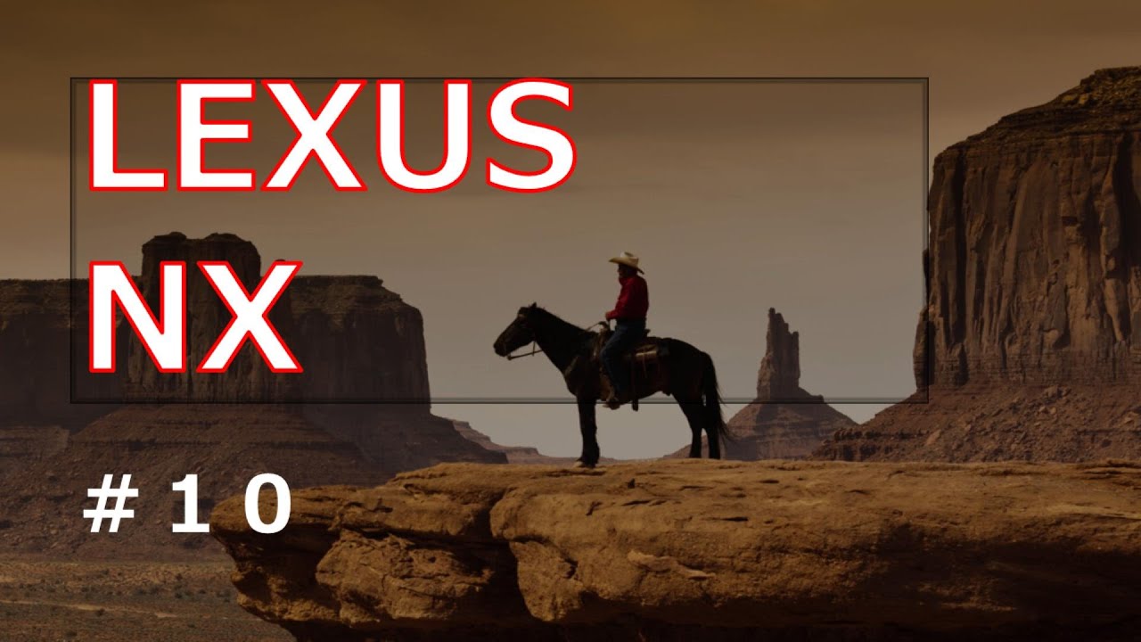 【新型NX・＃10】納車から5ヶ月経ちました・・すっかり・・ - YouTube