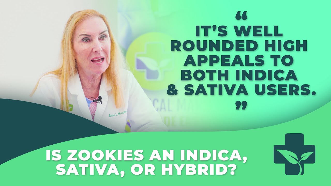 Indica, Sativa or Hybrid? Doctor Exposes Zookies Strain's True Identity ...
