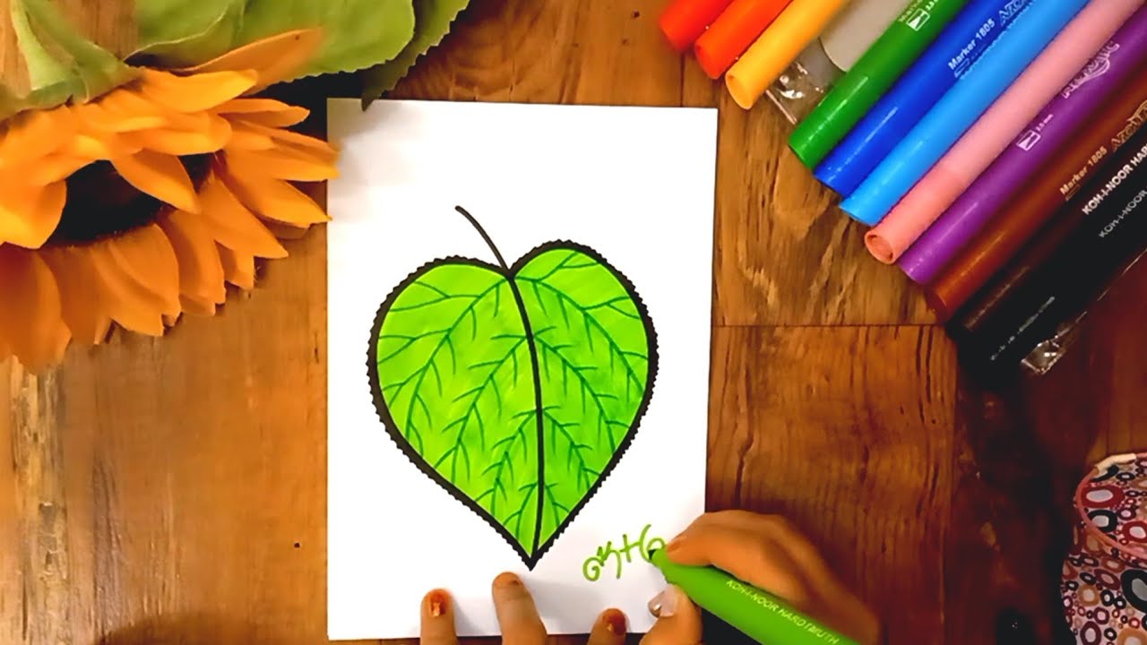 Jak nakreslit list lípy / How to draw a lindens leaf - YouTube