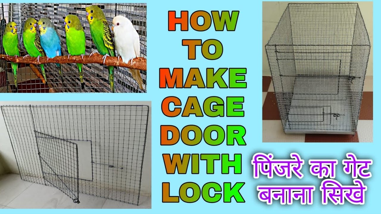 How To Make Cage Gate With Lock Easily How To Make Bird Cage Door Bird Cage Door Kaise Banate how-to-make-cage-gate-with-lock-easily-how-to-make-bird-cage-door-bird-cage-door-kaise-banate