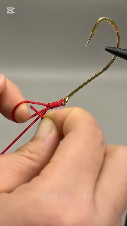 Como amarrar un anzuelo #anzuelo #anzuelos #pescador #pescadores #pescadora #pescadeportiva # ...