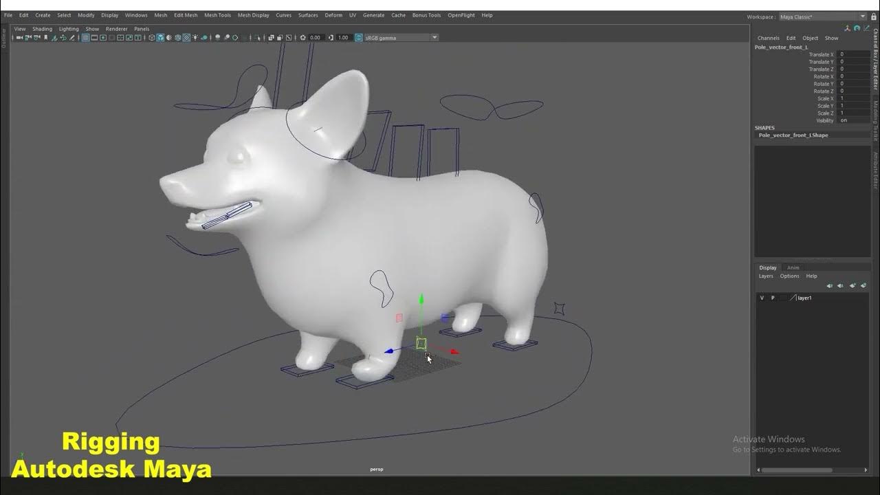 Dog Advanced Character Rigging in Autodesk Maya - YouTube