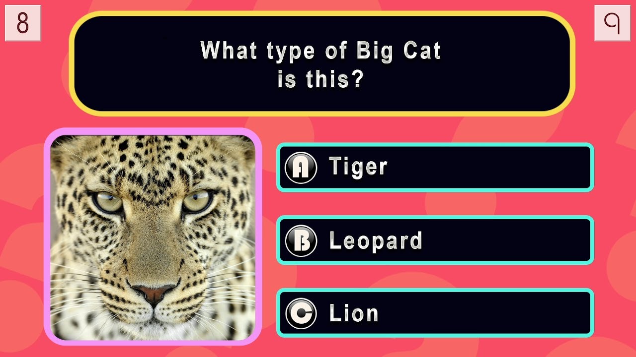 General Knowledge Quiz | Fun Multiple Choice Challenge (game #3) - YouTube