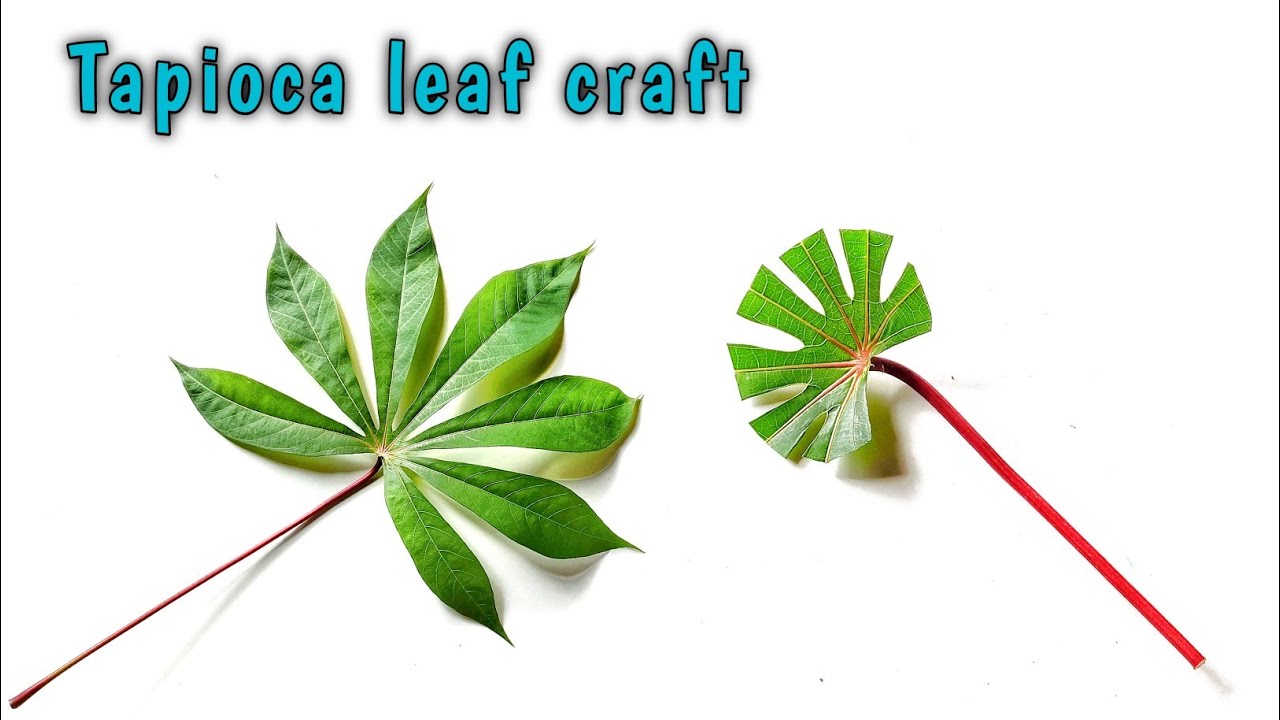Tapioca leaf craft|Amazing craft ideas|Craft|Craft ornaments|Leaves ...