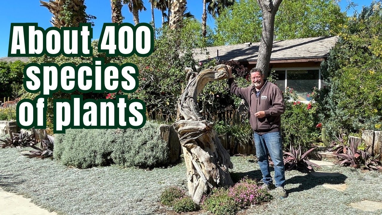 Exclusive tour of the Gardens of Norm Schilling - YouTube