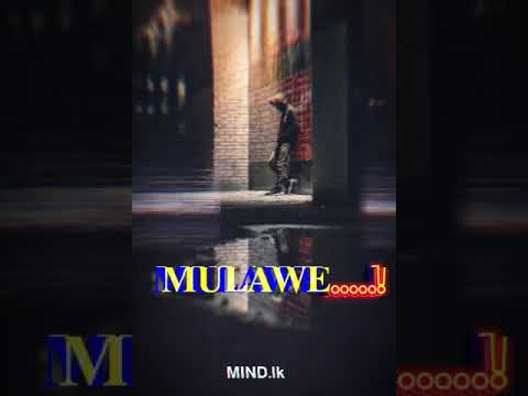 𝐌𝐔𝐋𝐀𝐖𝐄..! 𝐬𝐥𝐨𝐰𝐞𝐝 + 𝐫𝐞𝐯𝐞𝐫𝐛 𝐛𝐲 𝐌𝐈𝐍𝐃.𝐋𝐊 - YouTube