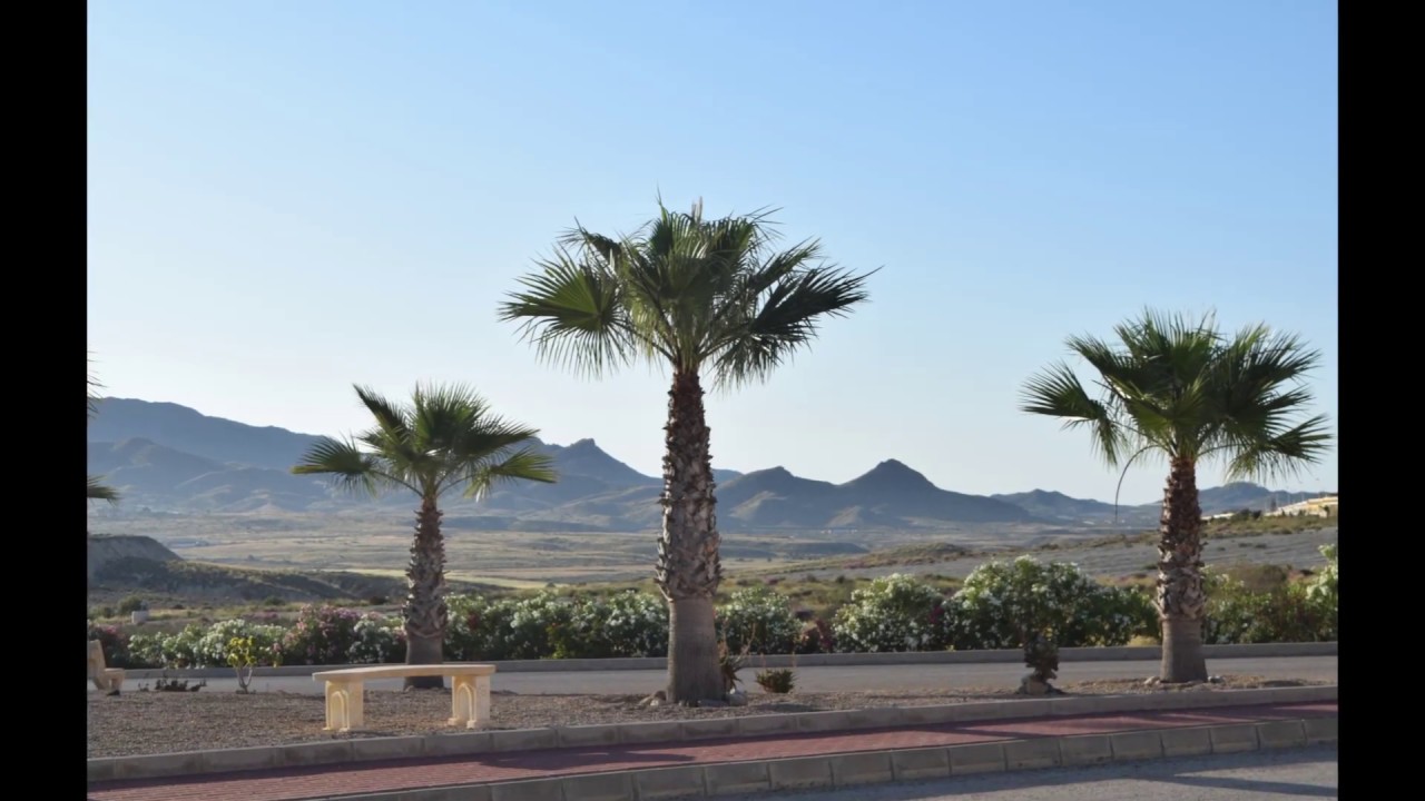 Camposol D Oleander views - YouTube