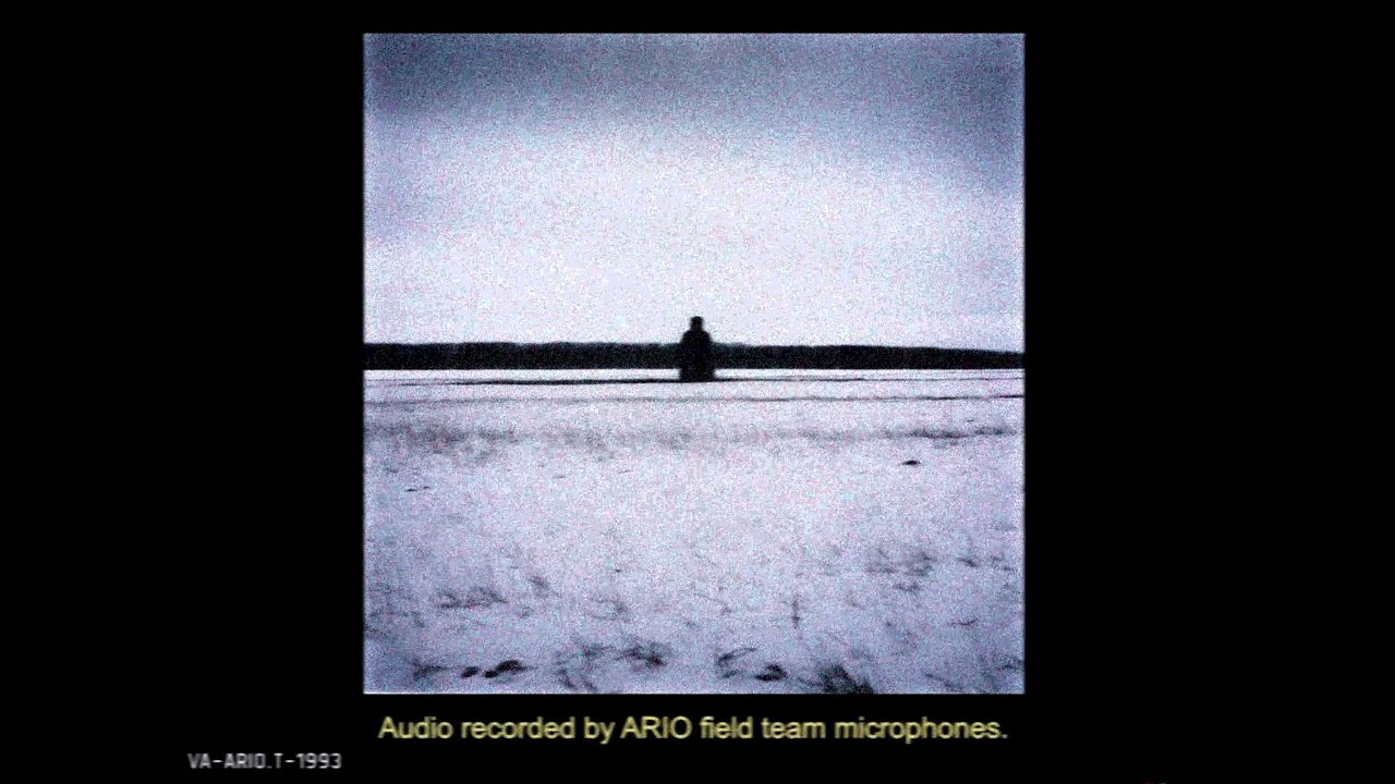 Anemoia — ARIO TRAINING: PRETERNATURAL PHENOMENA - YouTube