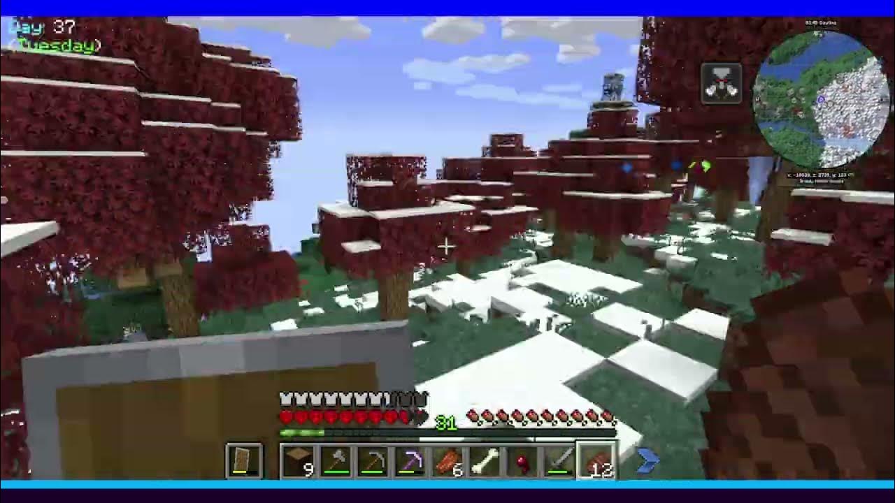 Cursed Walking Minecraft Hardcore days 29-40 - YouTube