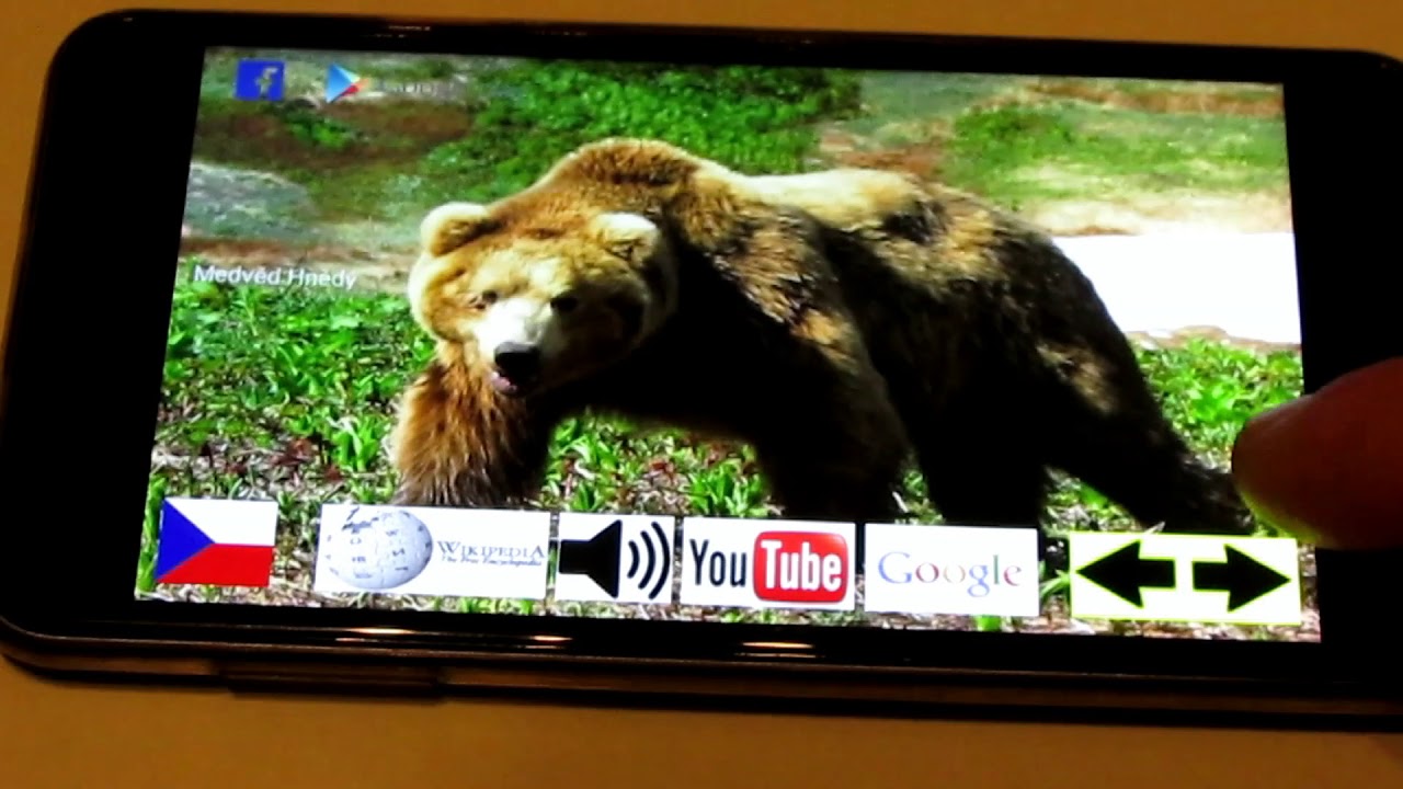 Free android Animals encyclopedia for kids - YouTube