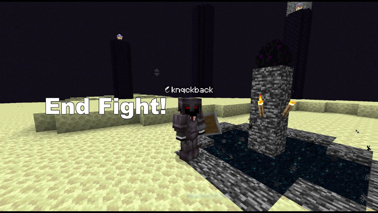 The End Fight | Dreamers Lifesteal SMP - YouTube