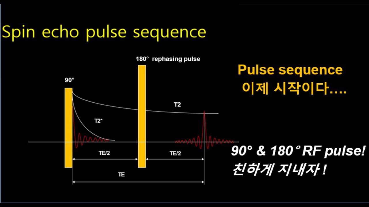 Spin echo 스핀 에코 "Pulse sequence의 기본" - YouTube
