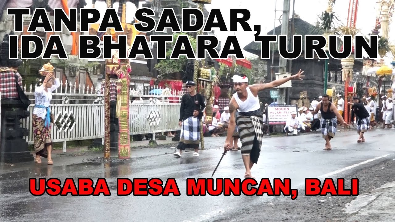 TRADISI USABA DESA DI DESA MUNCAN, KARANGASEM, NYARIS SEMUA KESURUPAN ...