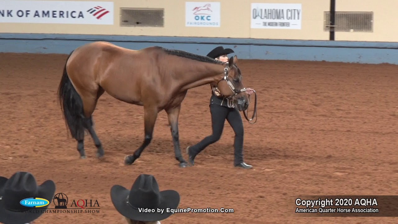 2020 AQHA Select Showmanship - YouTube