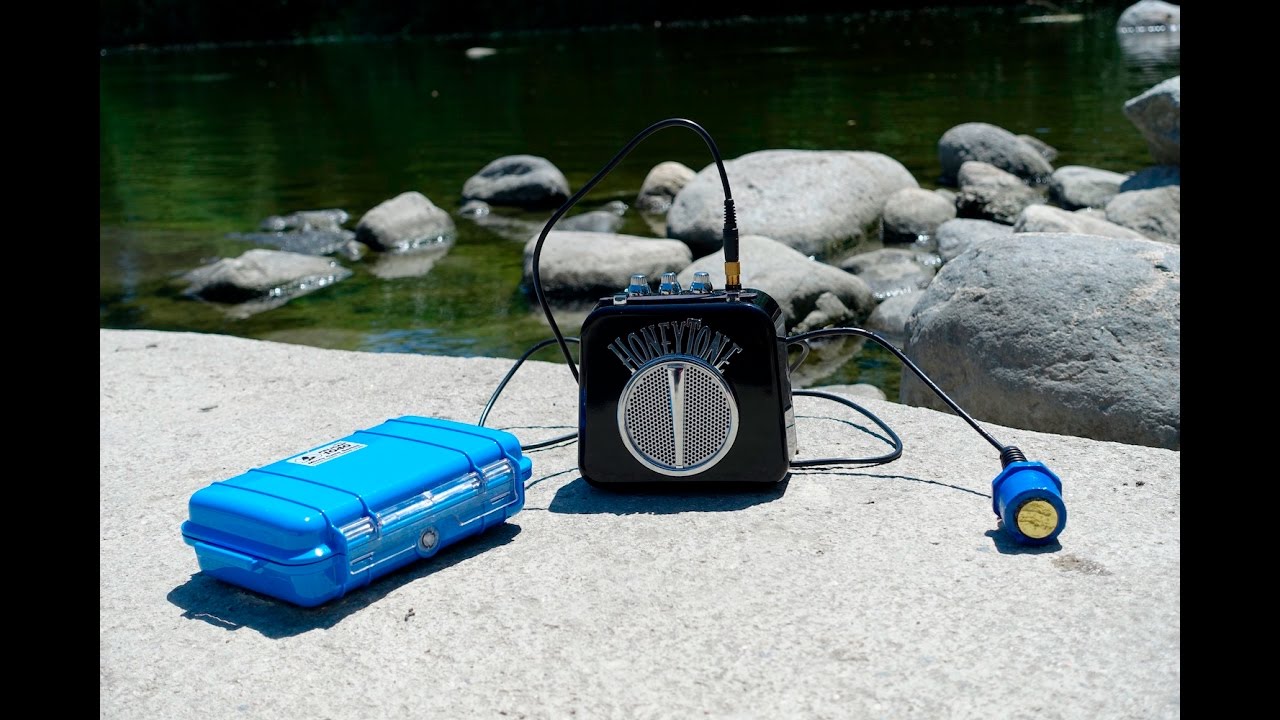 Build a Hydrophone to Listen to Whales - YouTube