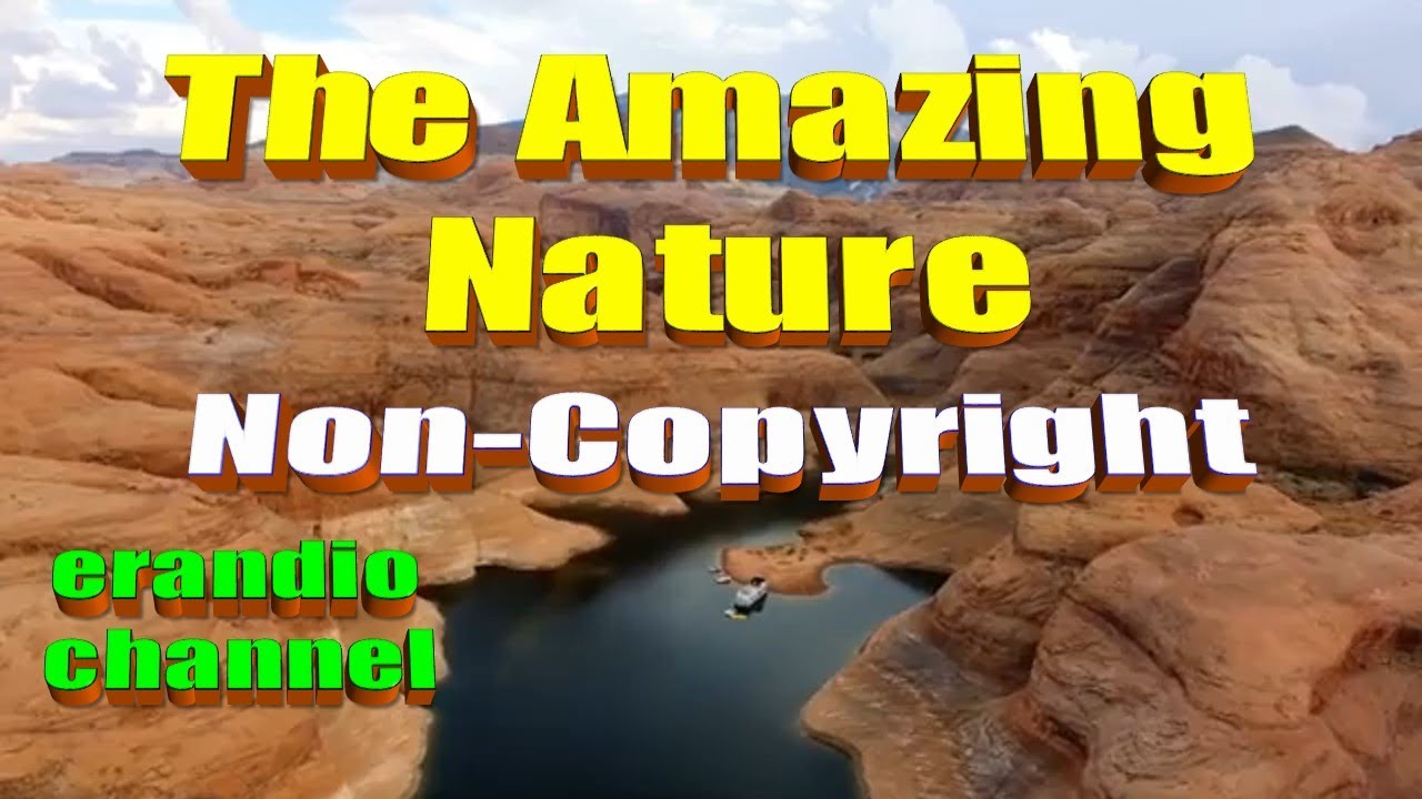 Non-Copyright / The Amazing Nature For Free background / - YouTube
