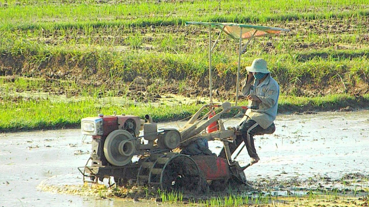 (Vietnamese Tractor) - Máy cày ruộng quá tiện lợi của người nông dân VN ...