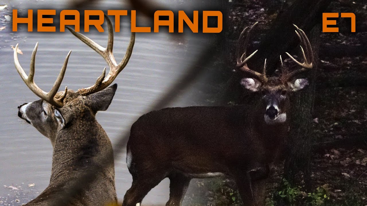 Chasing An Iowa Magnum, EHD Spreads Through Illinois #hunting - YouTube