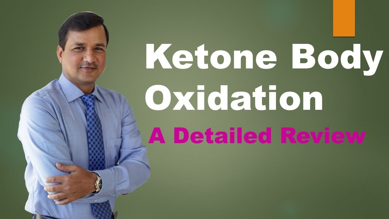 Ketolysis Pathway (Ketone Bodies Oxidation) - YouTube