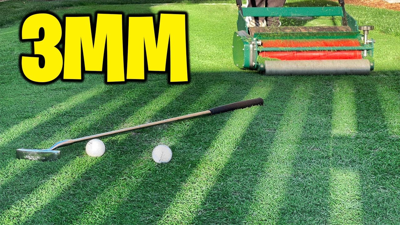 Finally! 3mm Cut on the Creeping bentgrass at home putting green! - YouTube