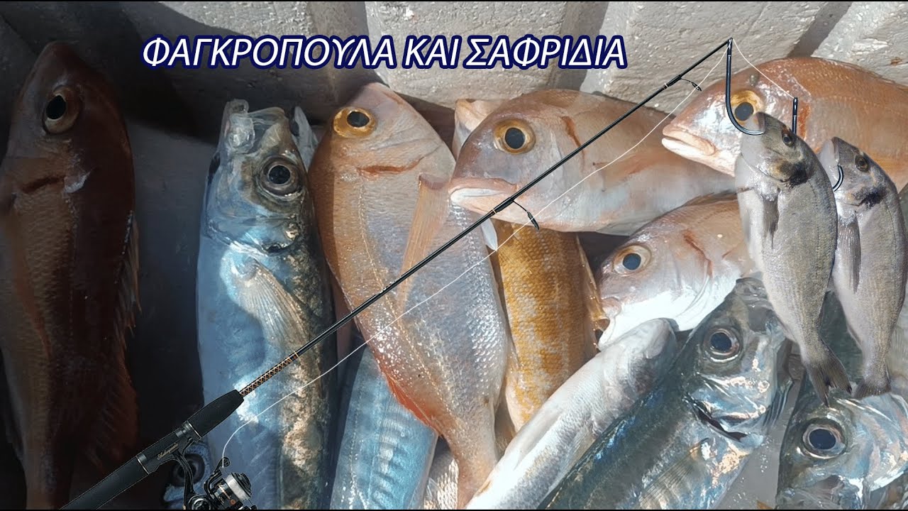 πρωτο παραγαδι Ιουνιος μηνας - YouTube