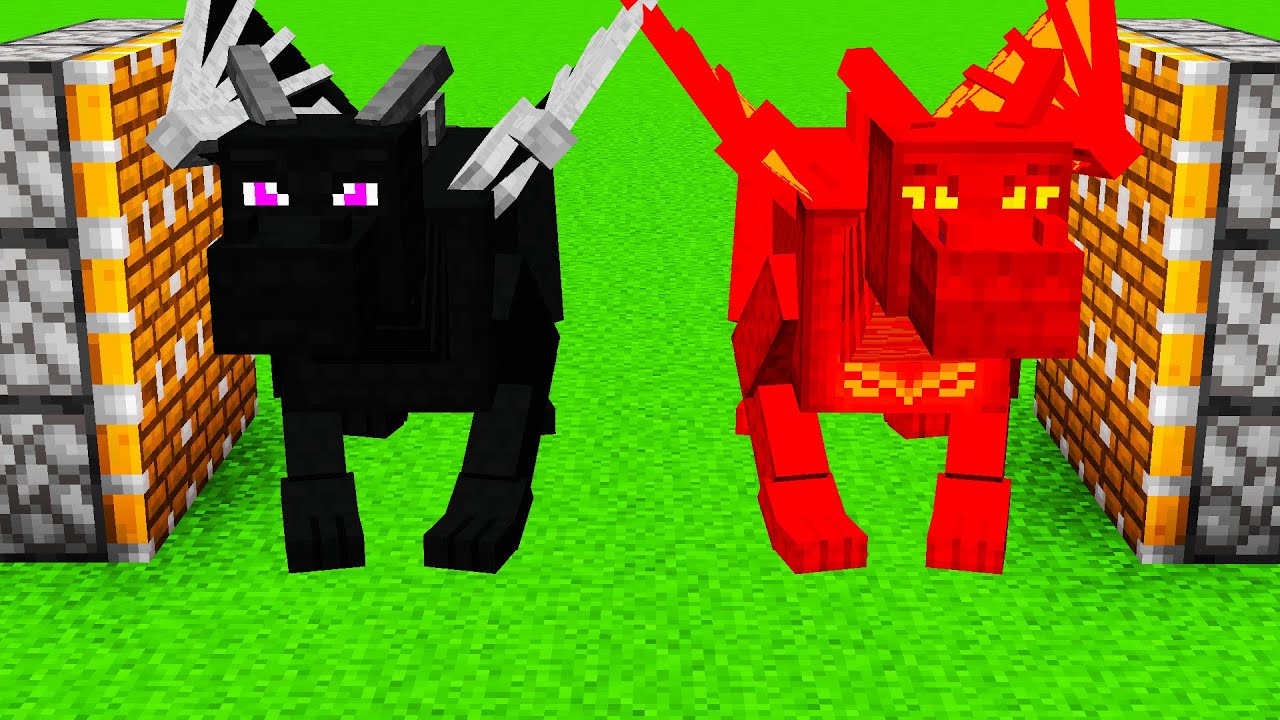 Fire Dragon + Ender Dragon = ??? - YouTube