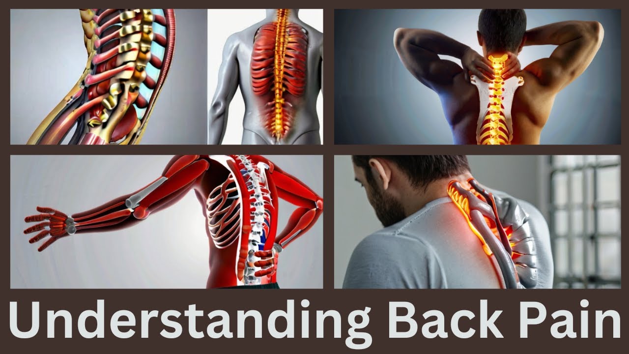 Understanding back Bone. #Back pain, #Health, #pain relief, #treatment ...