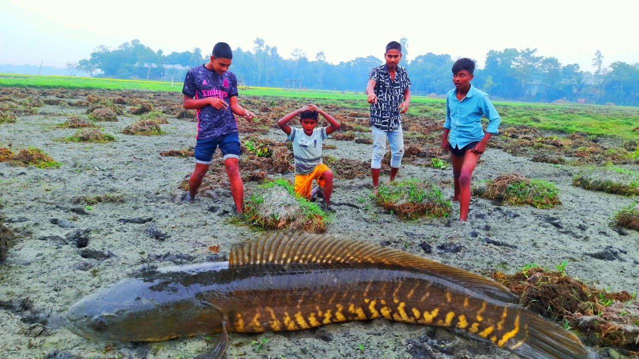 Best & Unique Catching Fish With Mun🖤Catfish In Mun By Kids 🖤Amazing ...