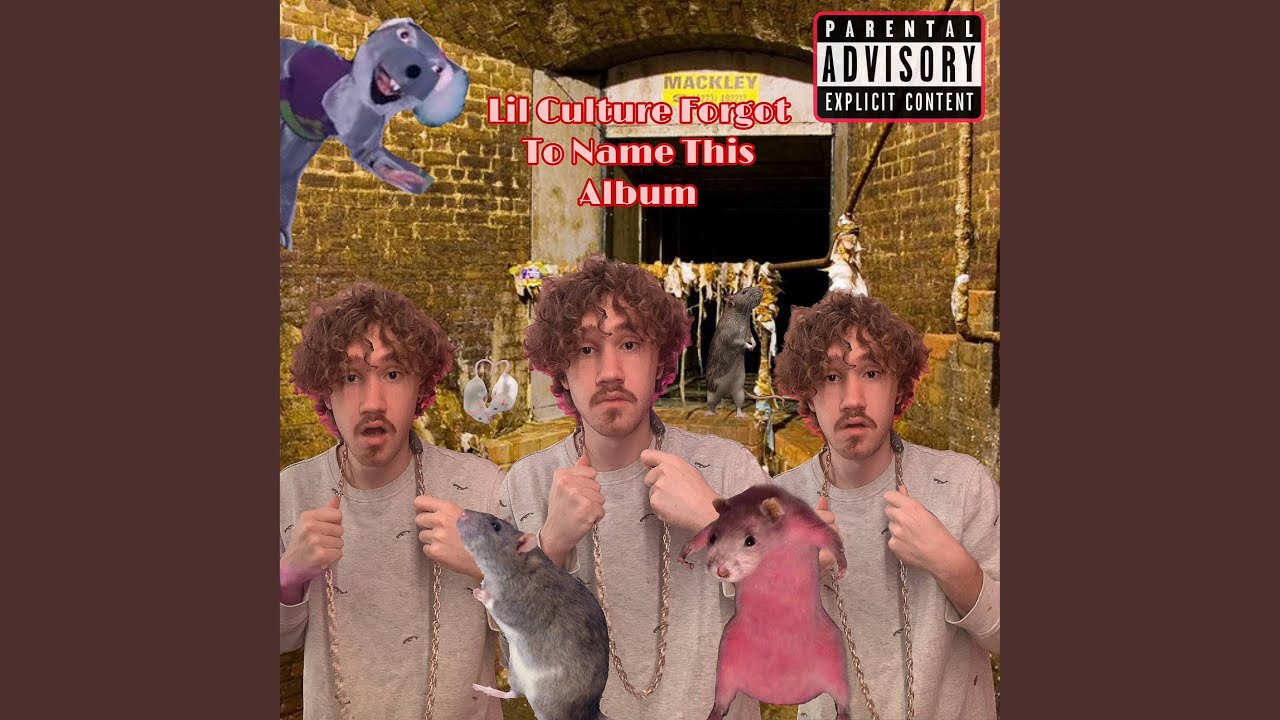 Lil Culture Sing Jazz Tunes Just Like Baboon - YouTube