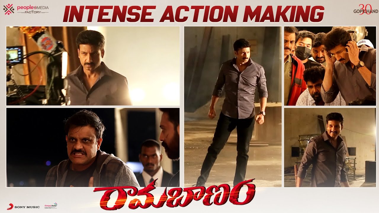 Ramabanam Intense Action Making | Gopichand | Dimple Hayathi | Sriwass ...
