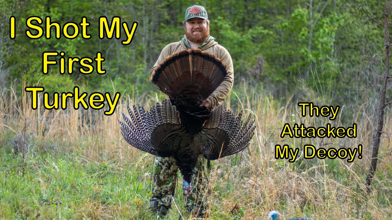 I Shot My First Turkey! A South Carolina Bird - YouTube
