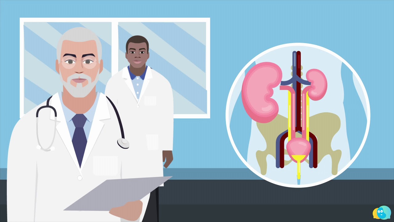 La greffe rénale en bref ! - YouTube