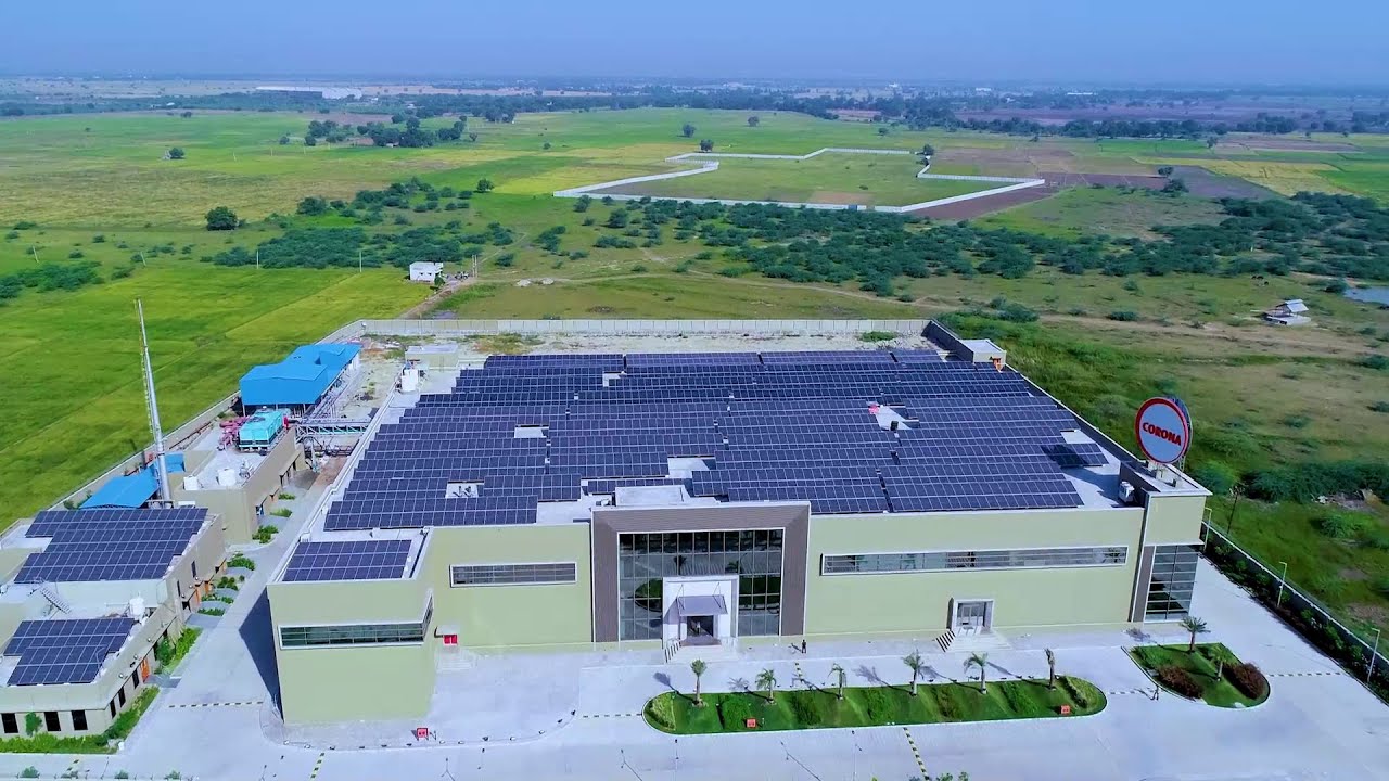 Corona Plant - YouTube