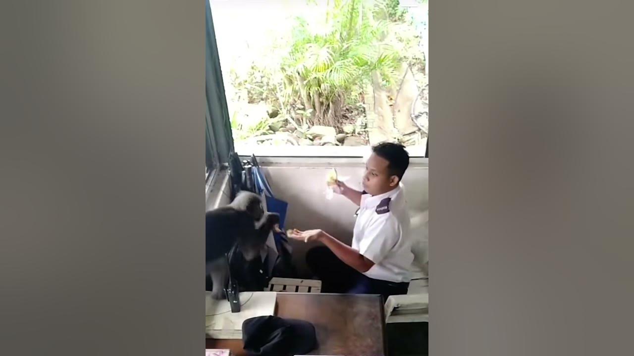 Giữa ban ngày ban mặt làm vậy coi được hông 😅👇 - YouTube