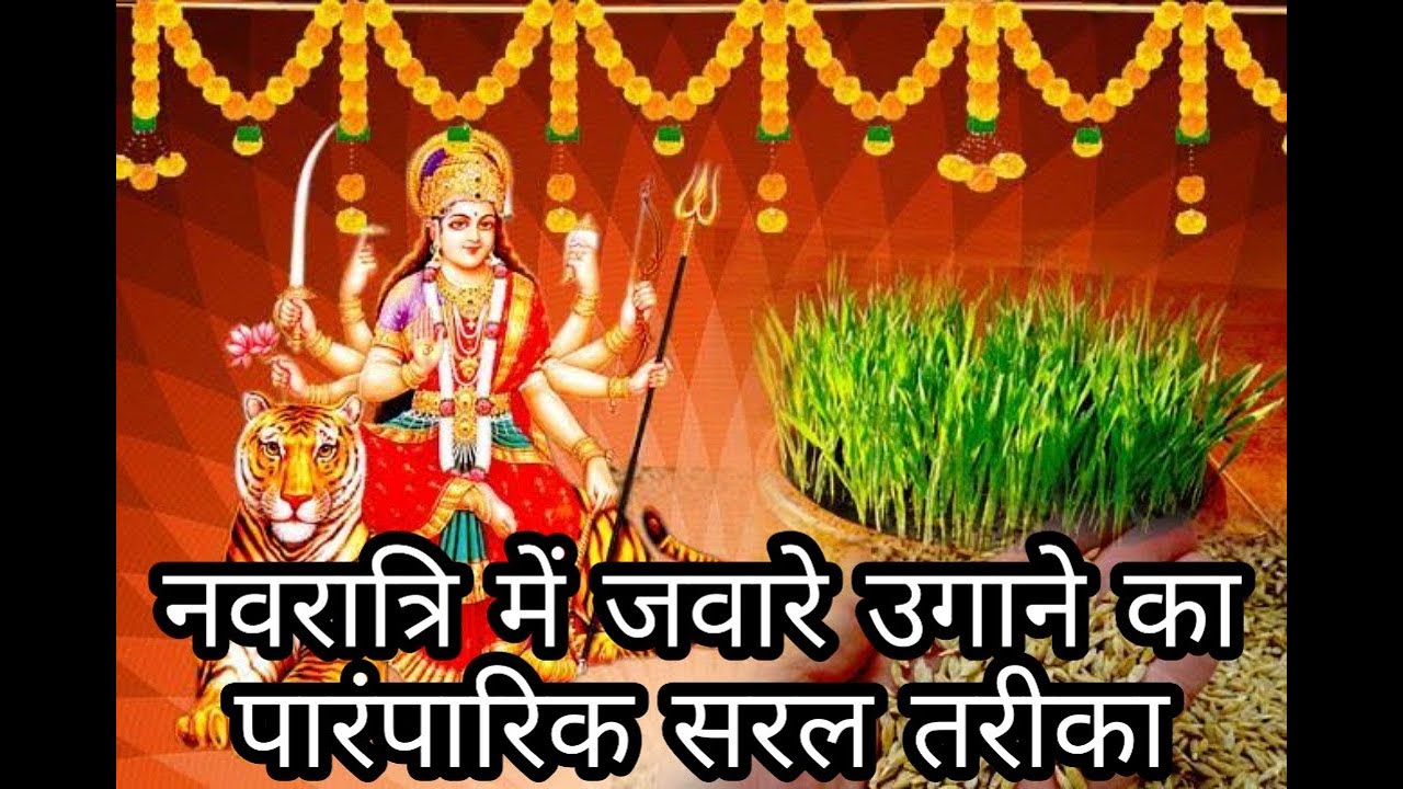 Navratri me jaware bone ka paramparik sral trika नवरात्रि में जवारे ...