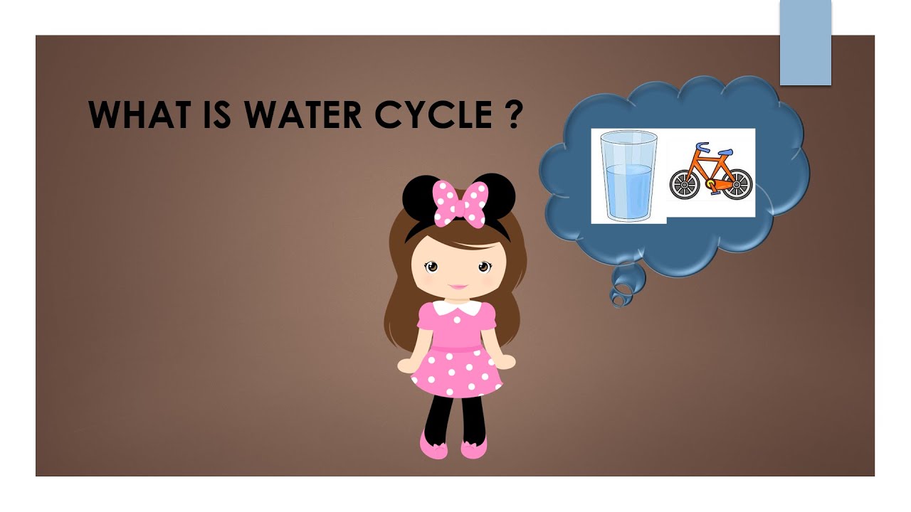 Water Cycle Explanation Class 3 - YouTube