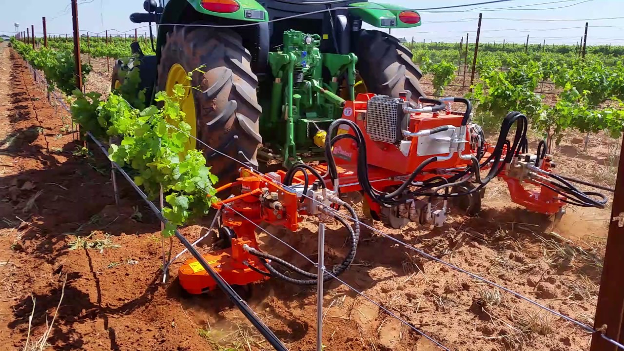 Rinieri Velox 8 Dual Side In-Row Power Harrow In the Vineyard - YouTube