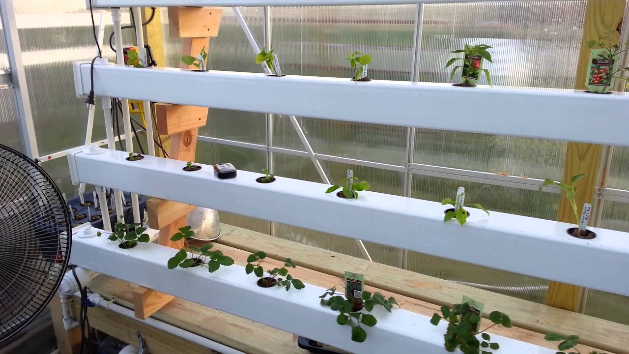Hydroponic greenhouse gardening - YouTube