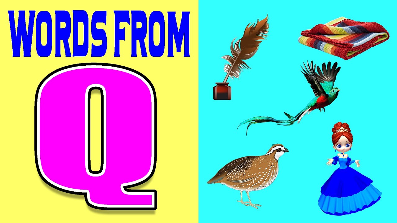 Learn 5 Words From Alphabet Q Vocabulary Words From Q Q Words For learn-5-words-from-alphabet-q-vocabulary-words-from-q-q-words-for
