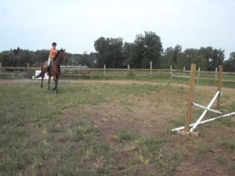 Aardvark jumping a crossrail 2 - YouTube