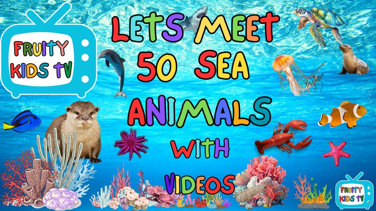 50 Sea Animals | Learn sea animals in english | educational video for ...