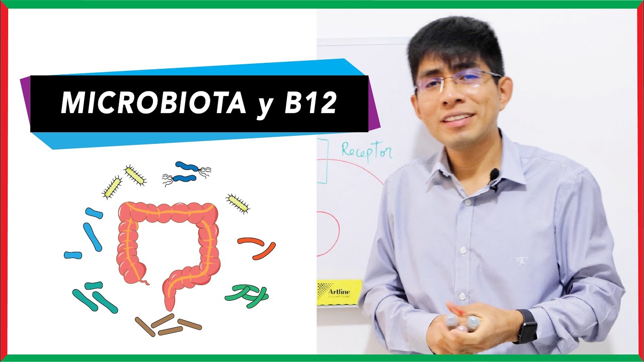 Síntesis de vitamina B12 por bacterias intestinales - YouTube